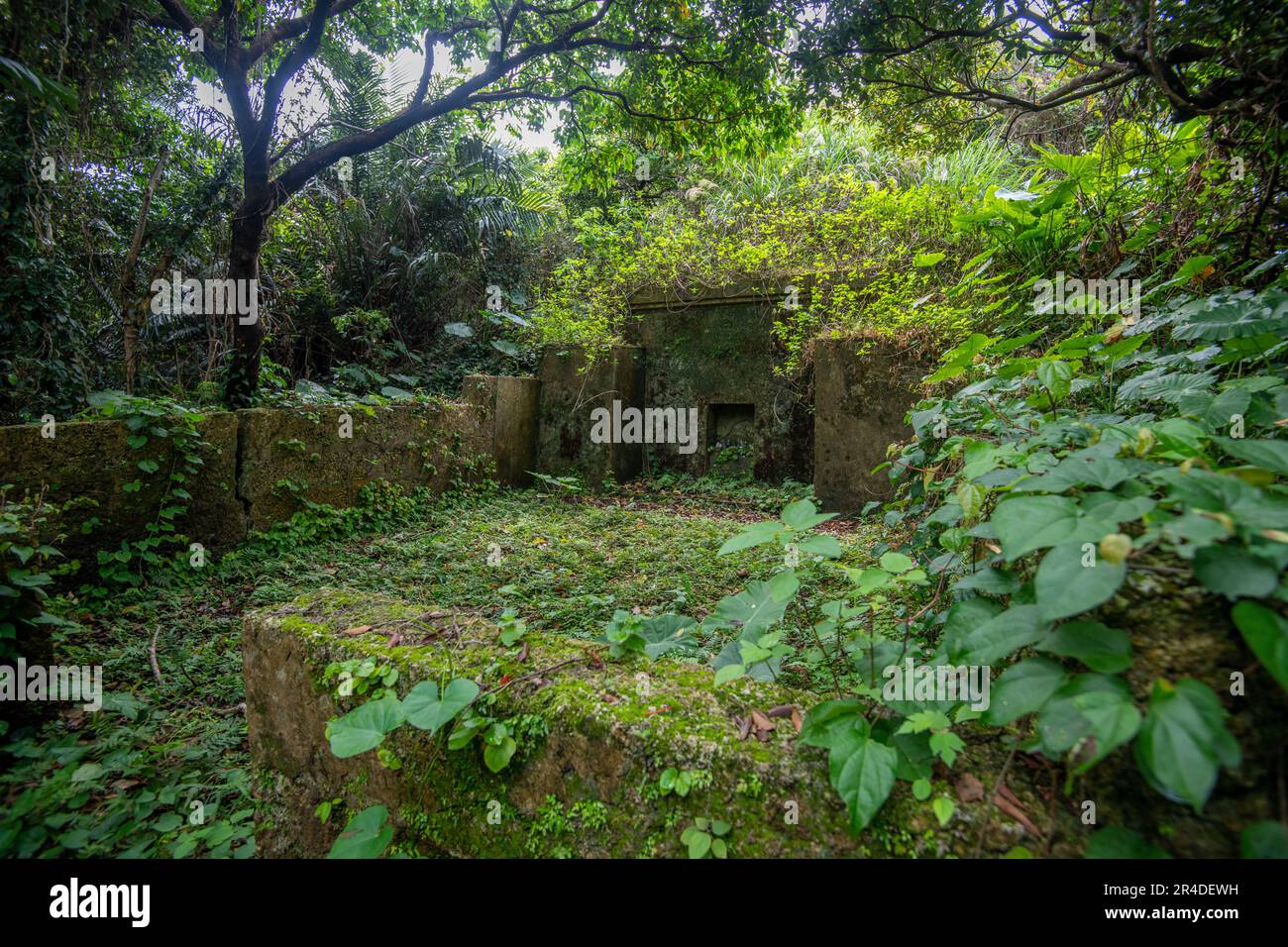 An untouched tomb slated to be cleaned at Kadena Air Base, Japan, March ...