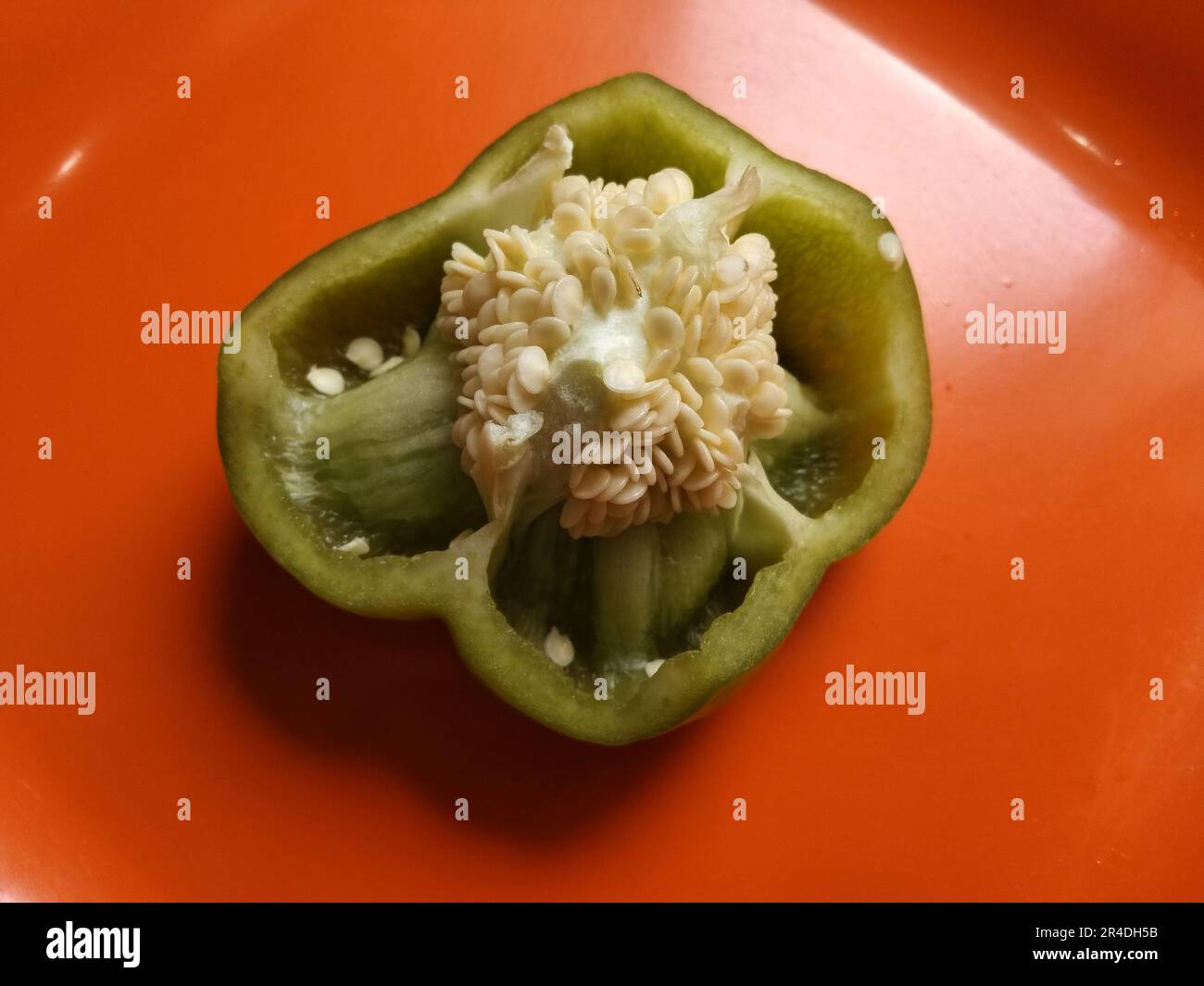 closeup view of half cut capsicum for multipurpose use of projects ...