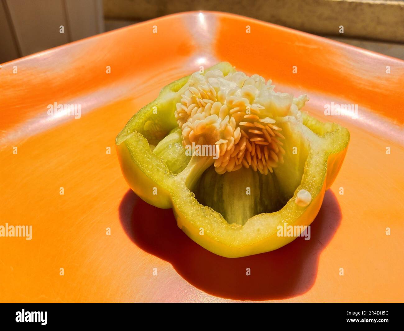 closeup view of half cut capsicum for multipurpose use of projects ...