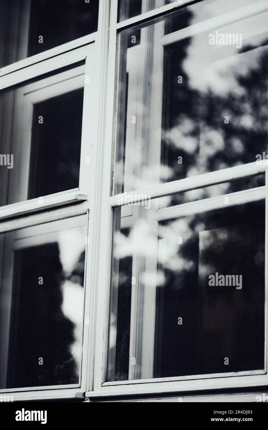 This black-and-white image features a dark window reflecting the lush ...