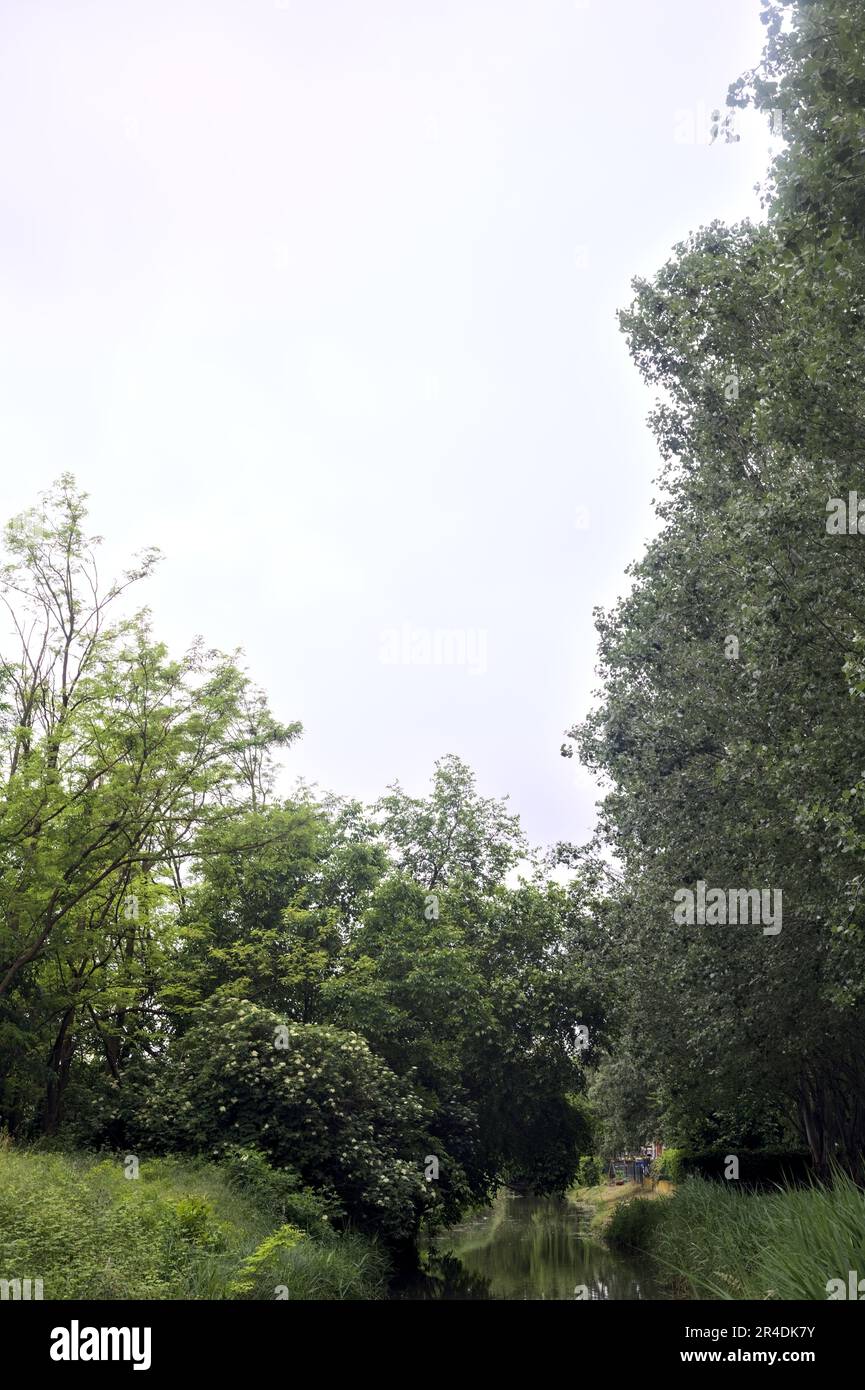 Brook bordered by trees with their reflections casted in the water on a ...