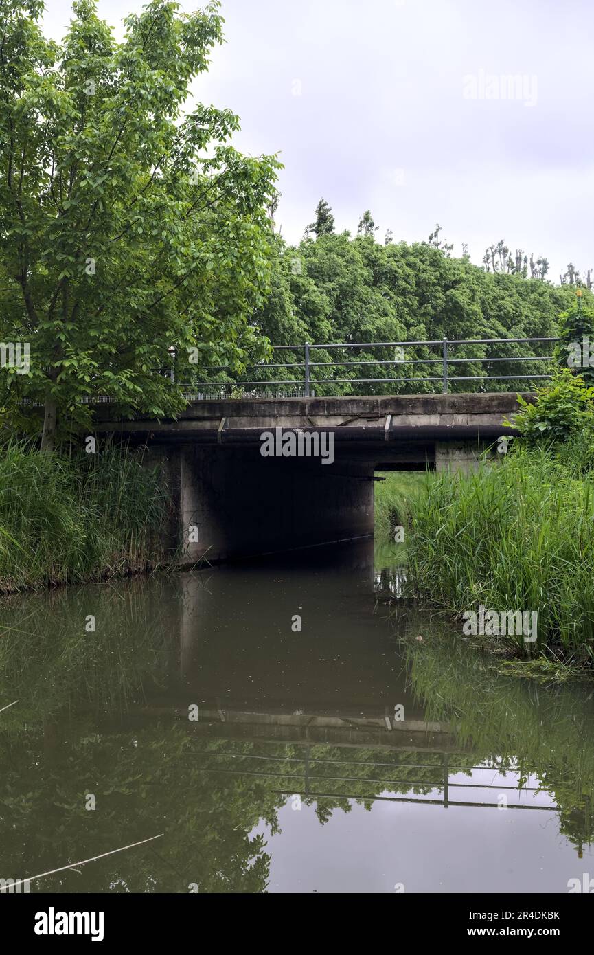 Small bridge with a tree next to it over a brook on a rainy day in the ...