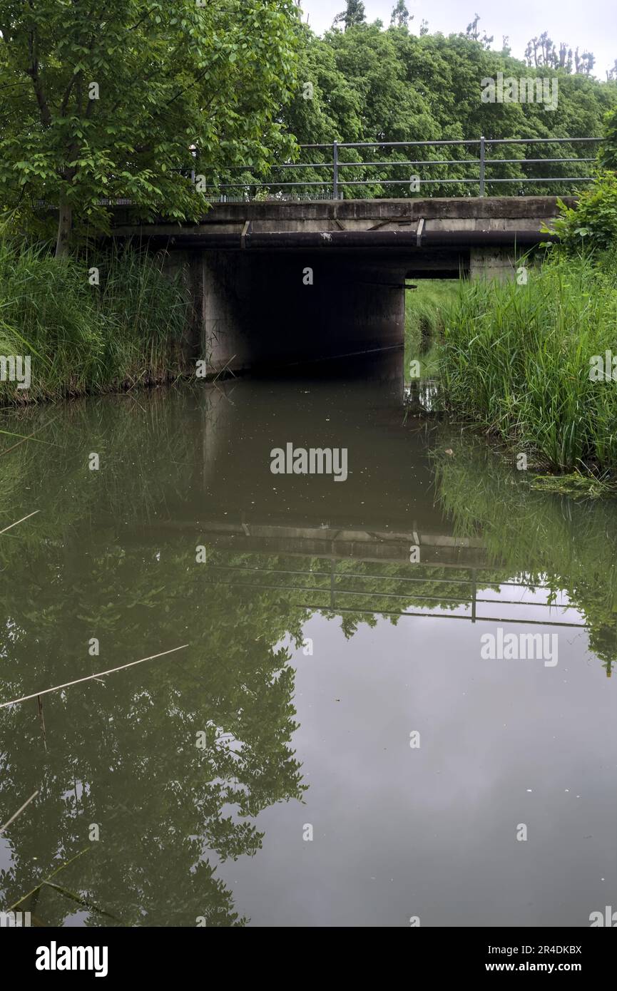Small bridge with a tree next to it over a brook on a rainy day in the ...