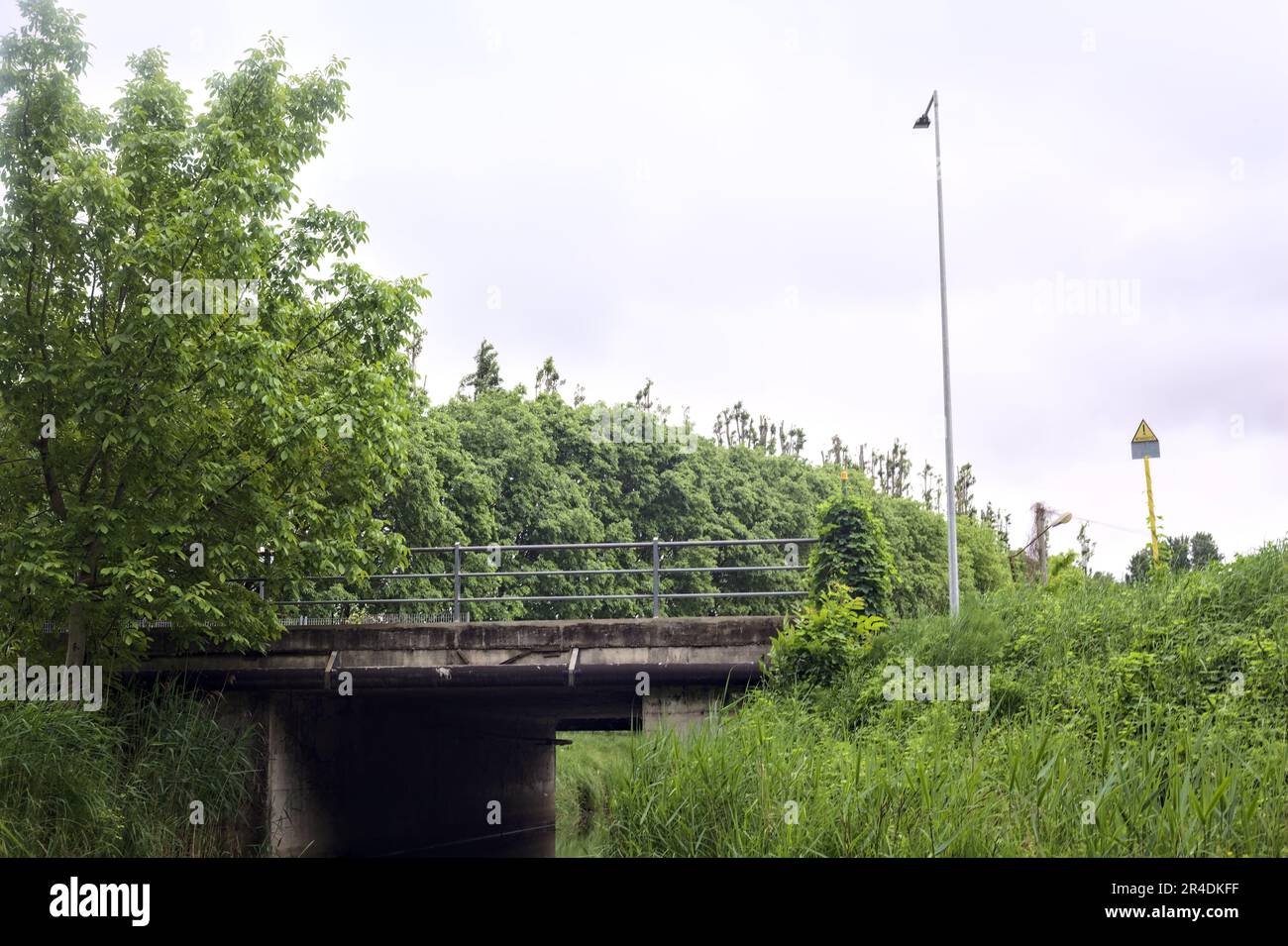 Small bridge with a tree next to it over a brook on a rainy day in the ...