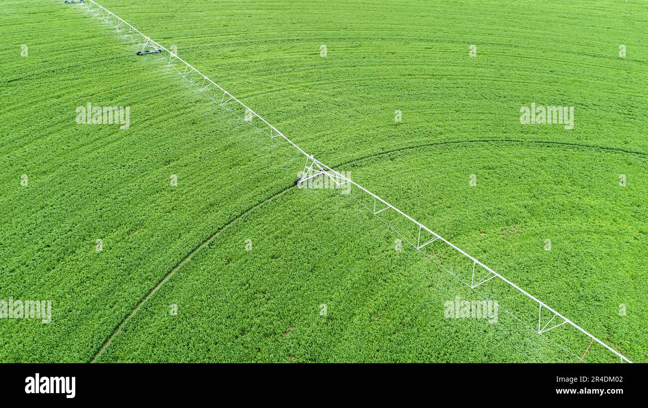 aerial view of crops being watered Stock Photo - Alamy