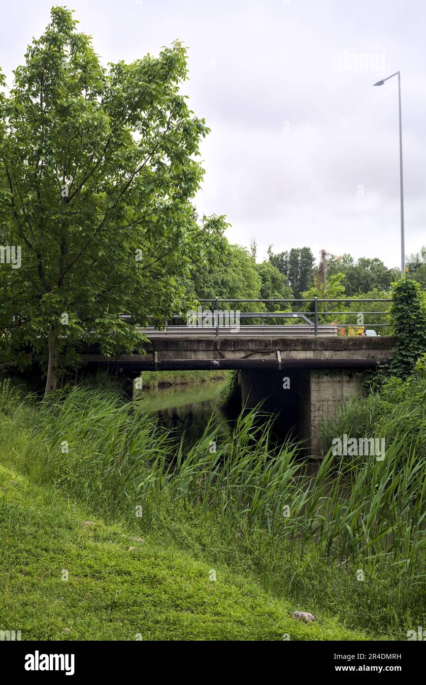 Small bridge with a tree next to it over a brook on a rainy day in the ...