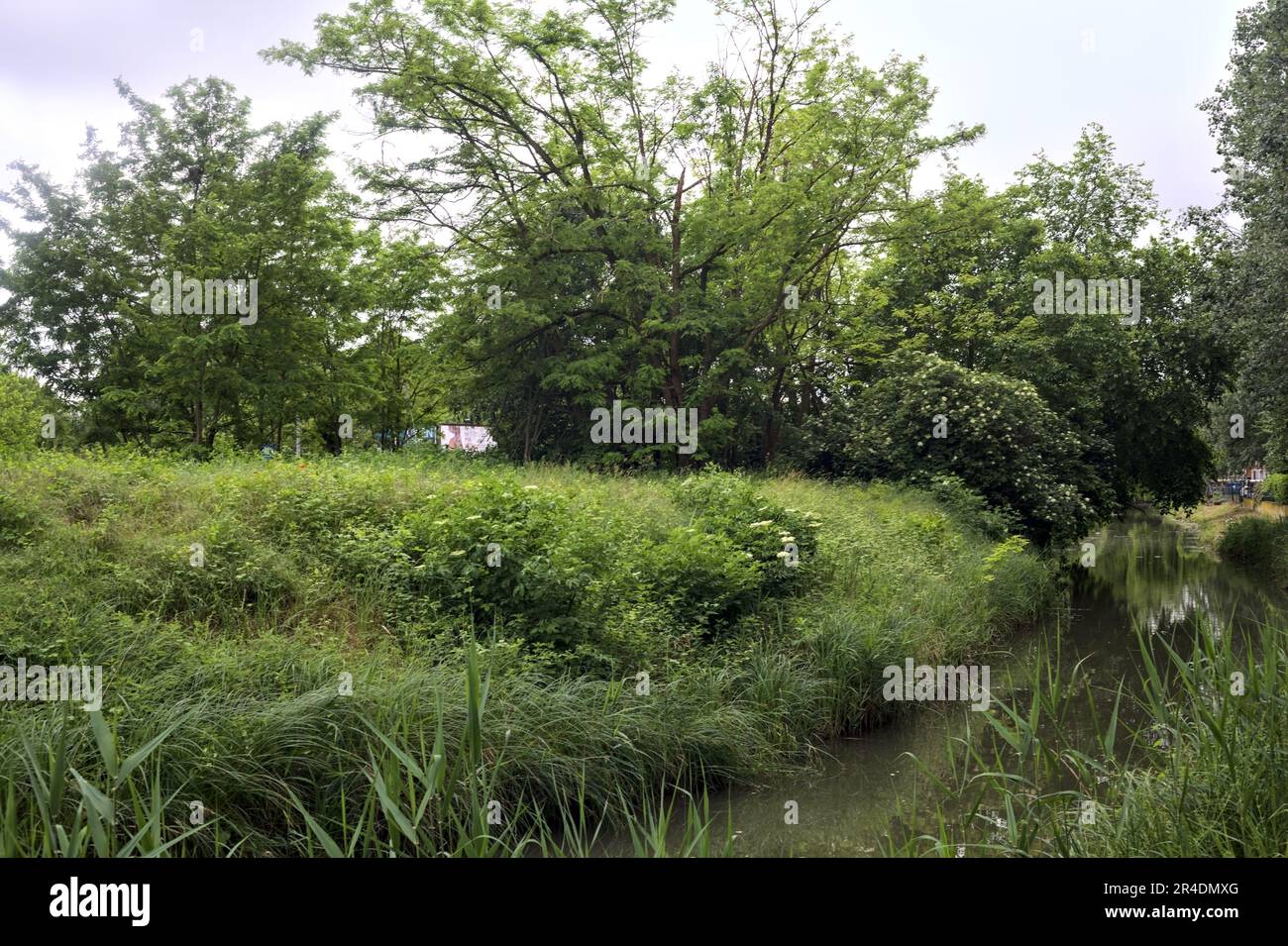 Brook bordered by trees with their reflections casted in the water on a ...