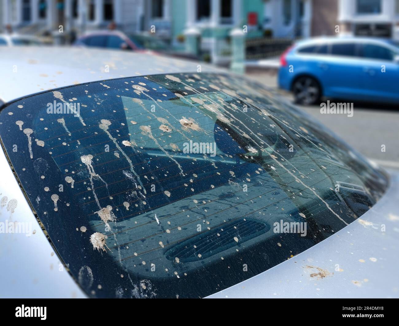 Bird poo or excrement on a car window. Sometimes called guano or poop ...