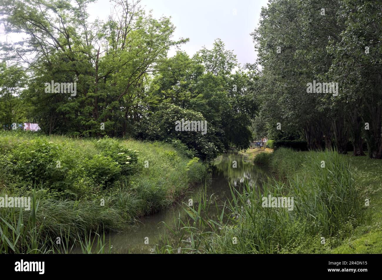 Brook bordered by trees with their reflections casted in the water on a ...