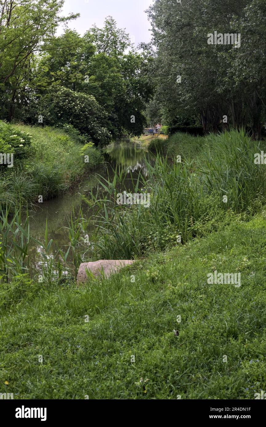Brook bordered by trees with their reflections casted in the water on a ...