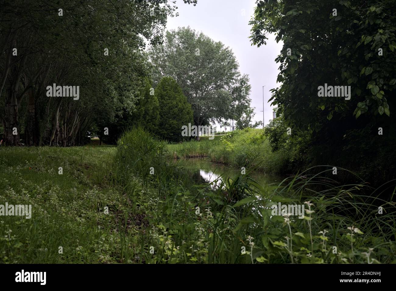 Brook bordered by trees with their reflections casted in the water on a ...
