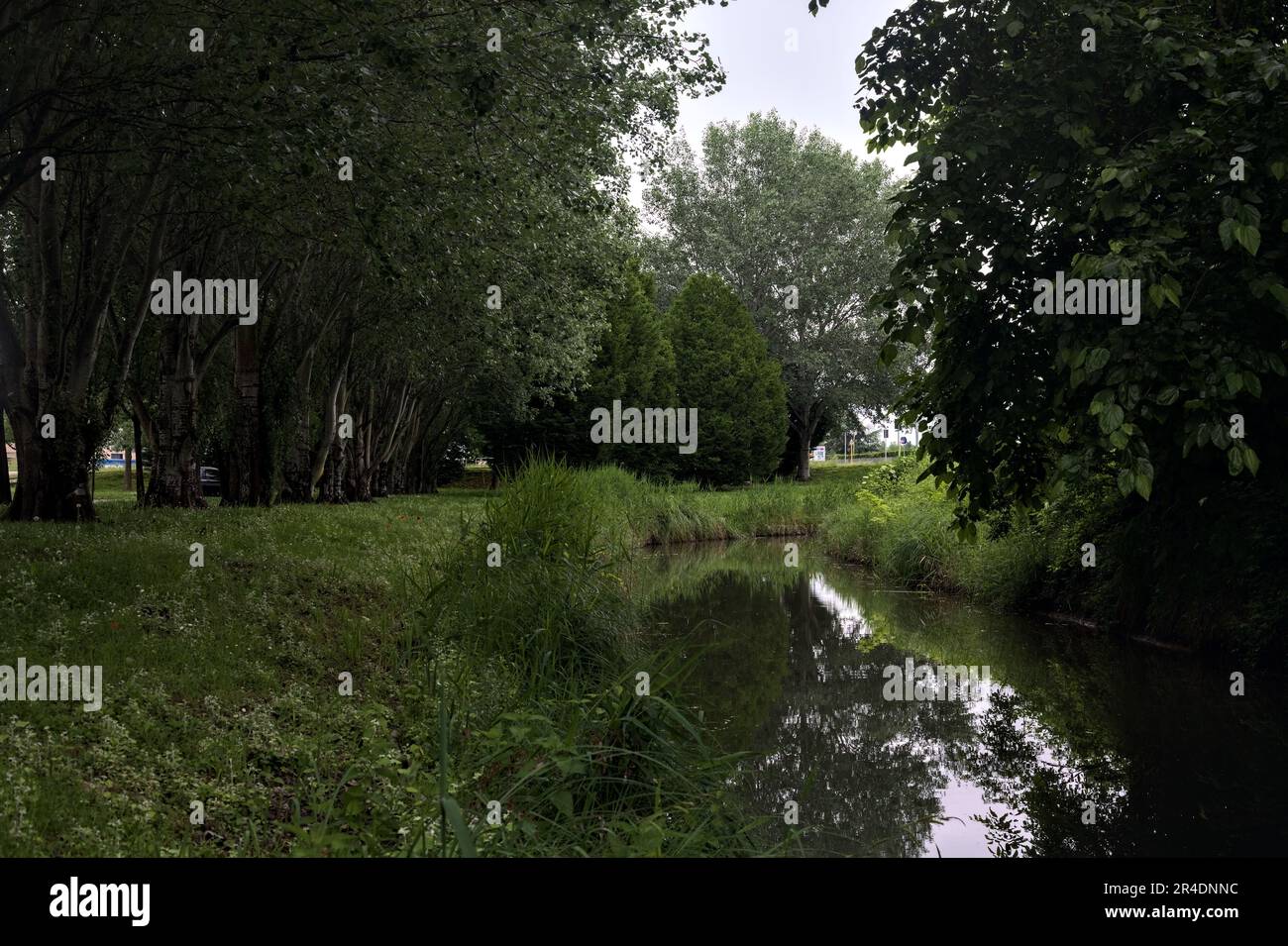 Brook bordered by trees with their reflections casted in the water on a ...