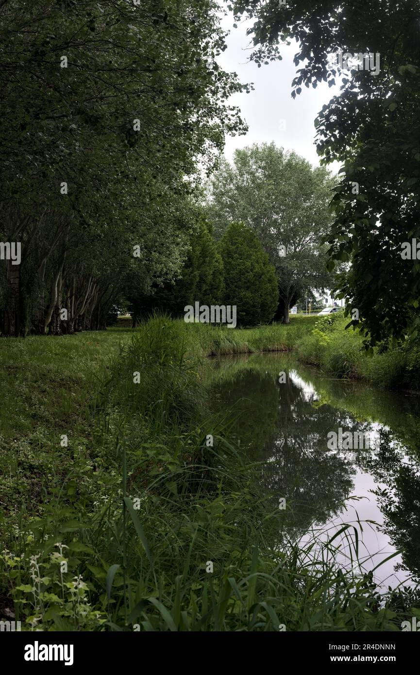 Brook bordered by trees with their reflections casted in the water on a ...