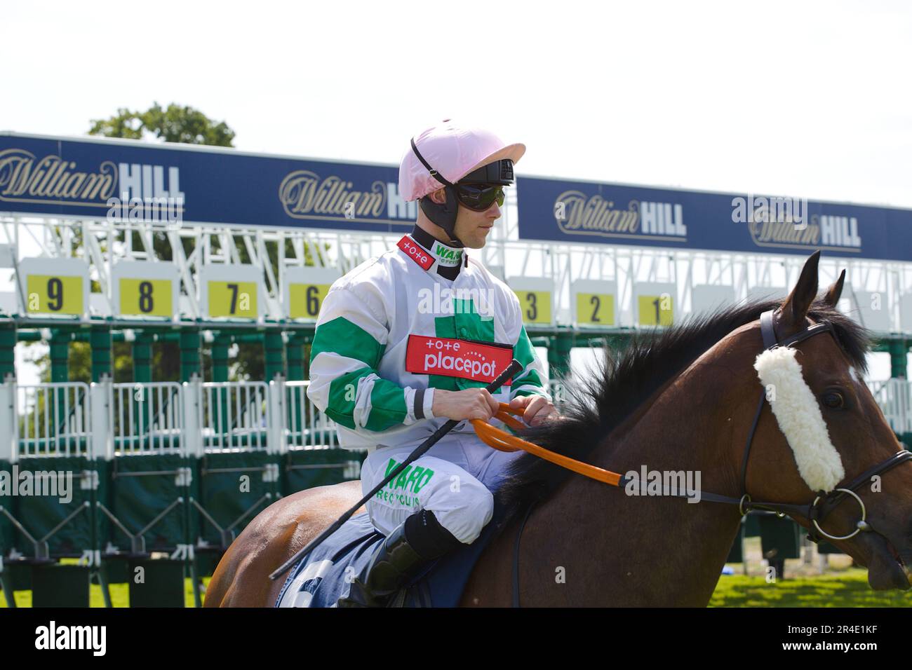 Zarzyni horse hi-res stock photography and images - Alamy