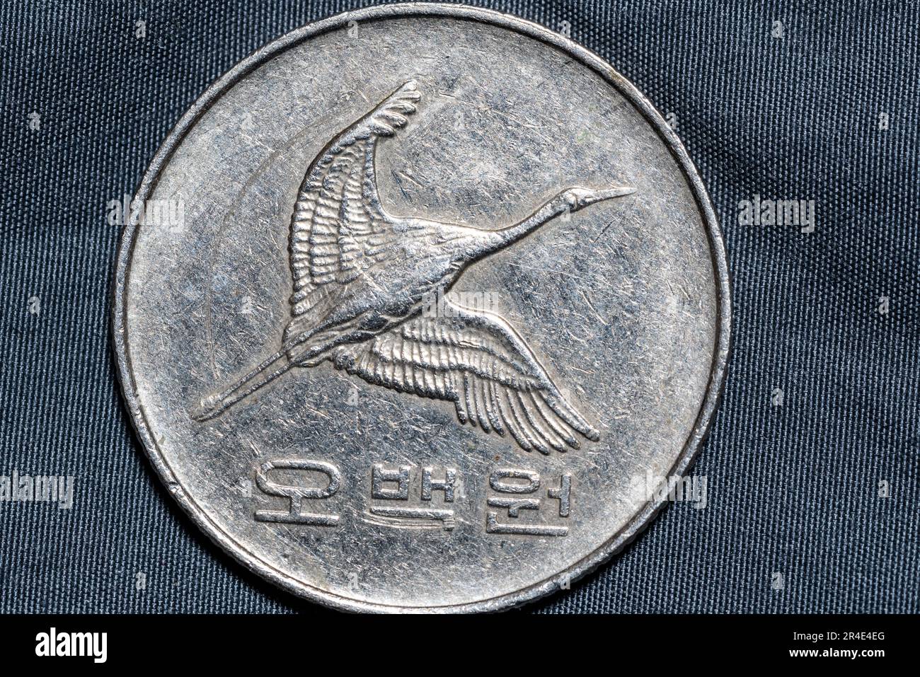 A close-up of a South Korean coin on a gray background Stock Photo - Alamy