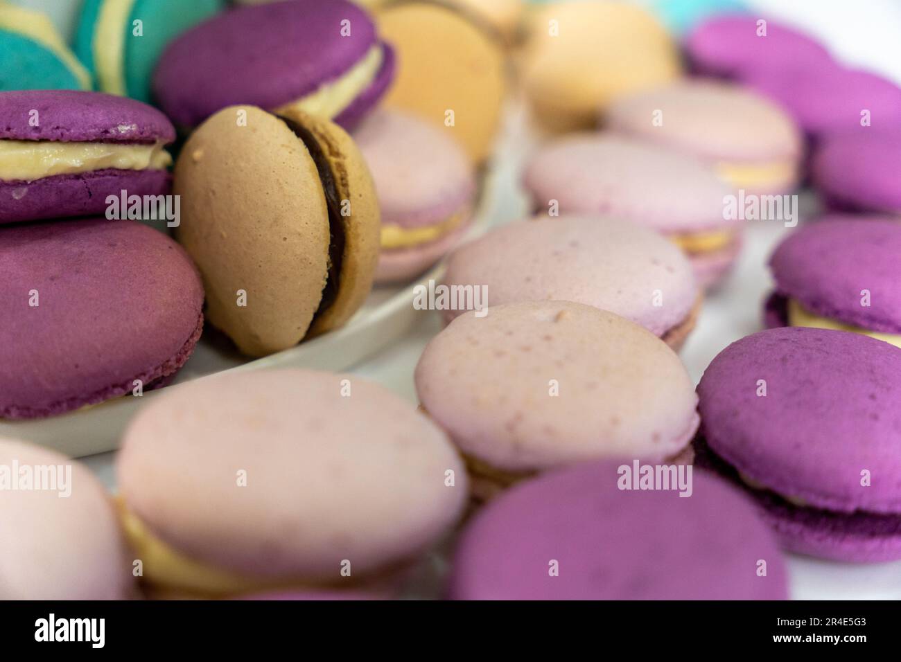 A white plate containing an assortment of colorful macaroons, including ...