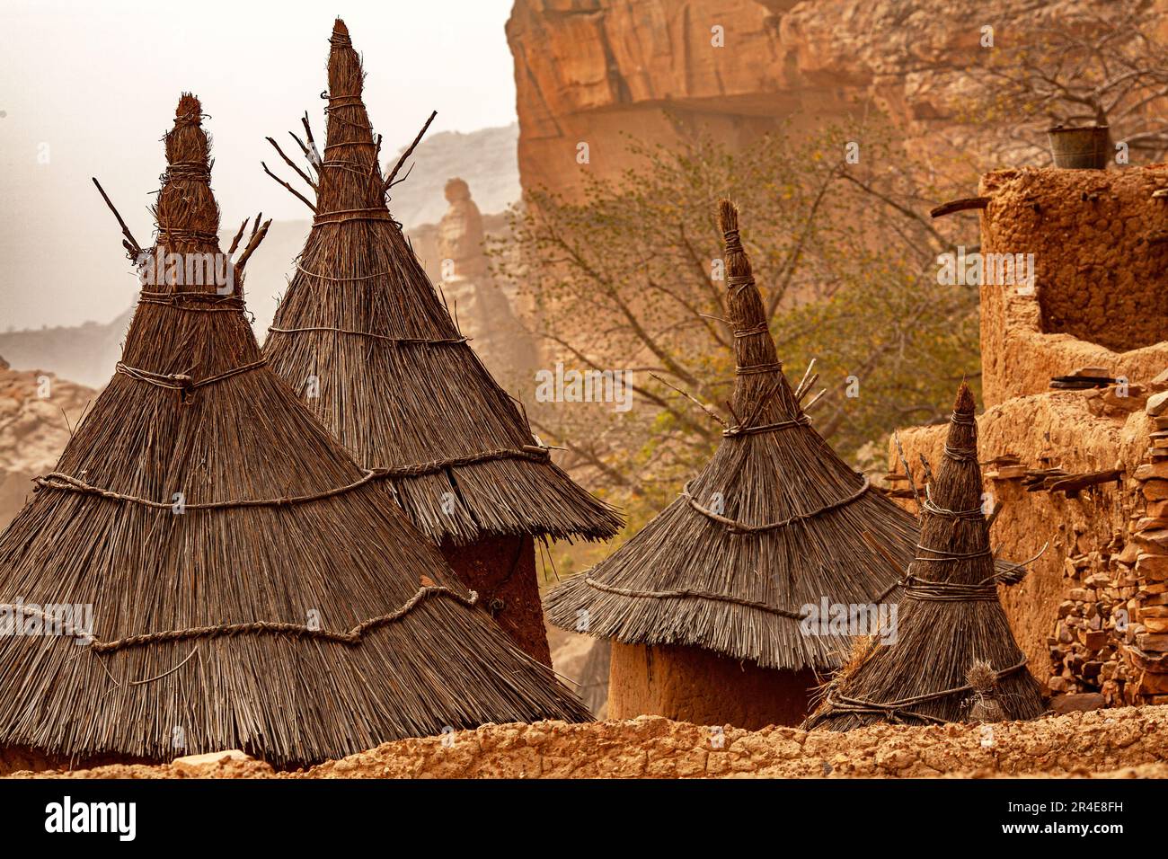 Dogon village and typical mud buildings, buildings used as barns for ...