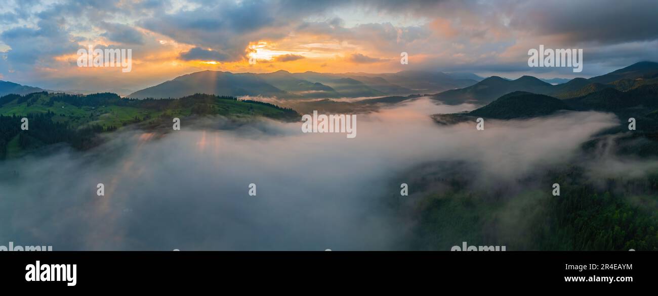Fog envelops the mountain forest. The rays of the rising sun break ...