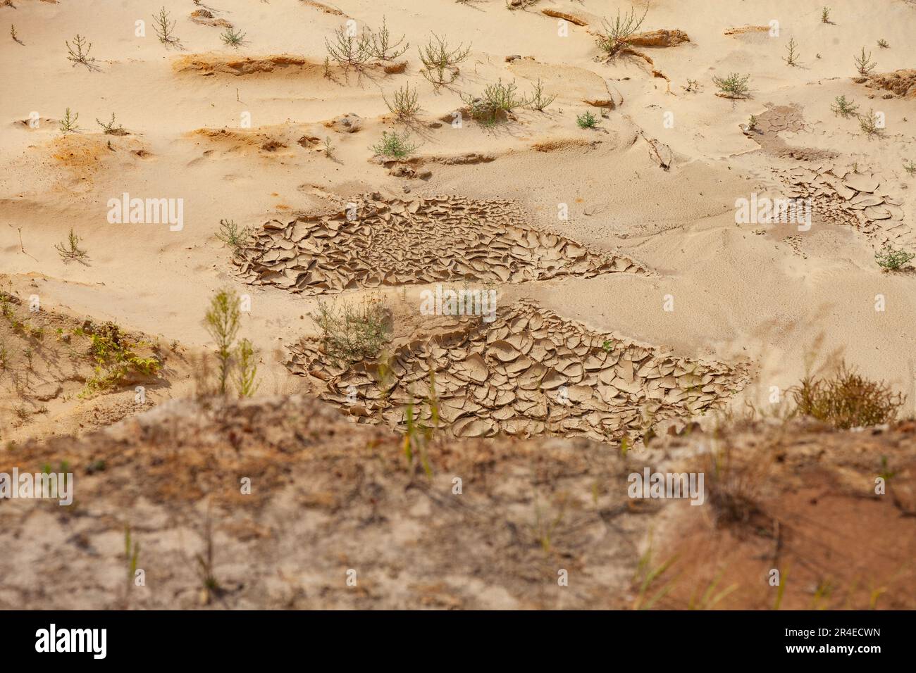 Sandy layer texture hi-res stock photography and images - Alamy
