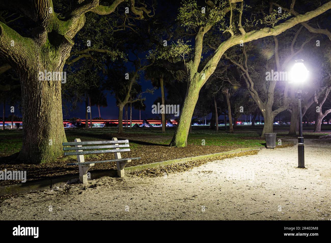 An empty park bench at night with large oak trees illuminated by a ...