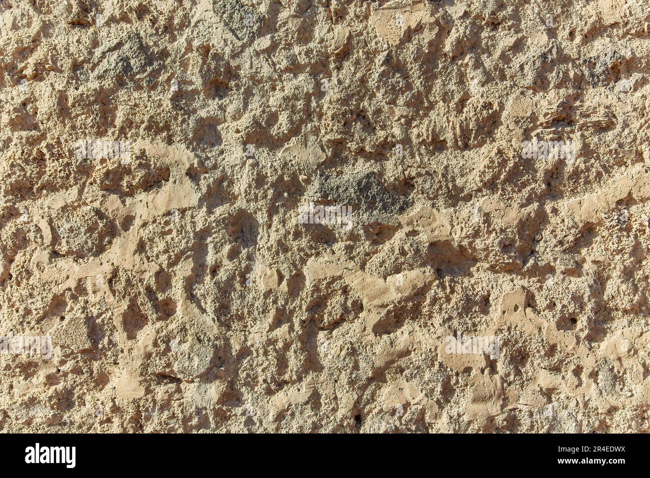 Stone, shell rock texture background. Texture of shell rock limestone ...