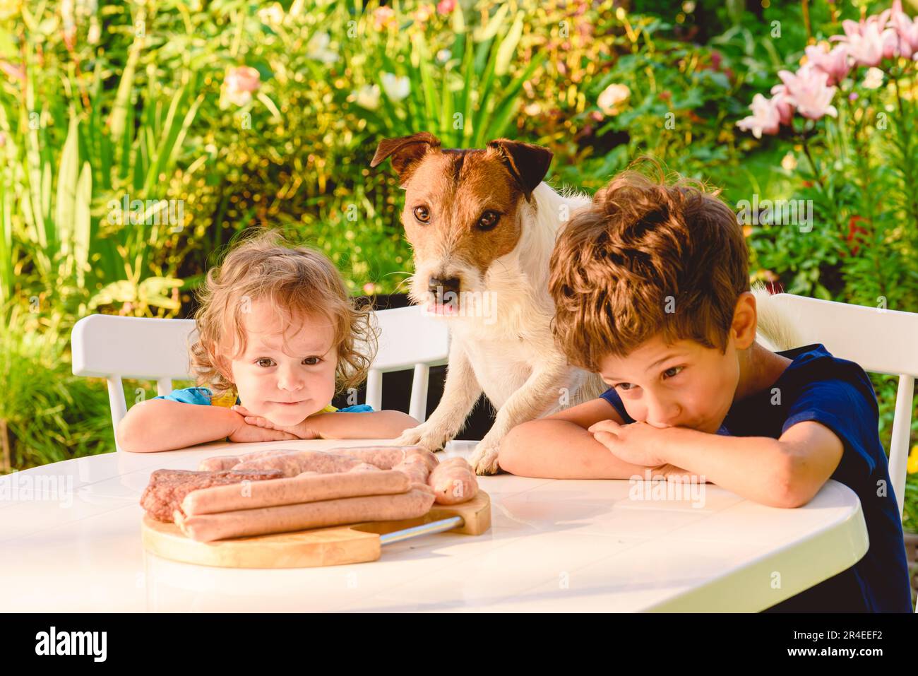 At cookout party children and pet dog can't wait BBQ to be grilled ...
