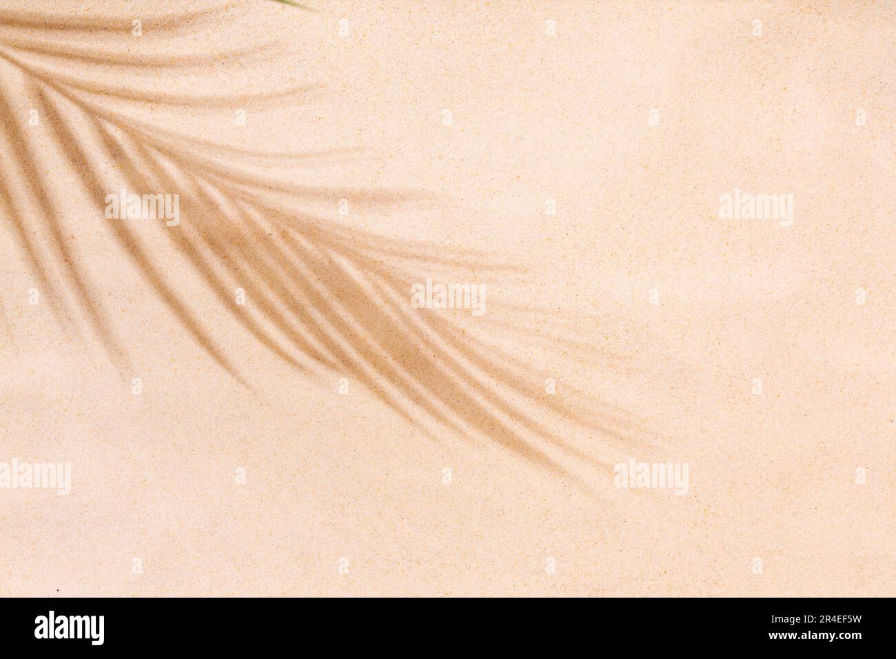 Beach sand with shadow of palm leaf. Travel and vacations concept ...