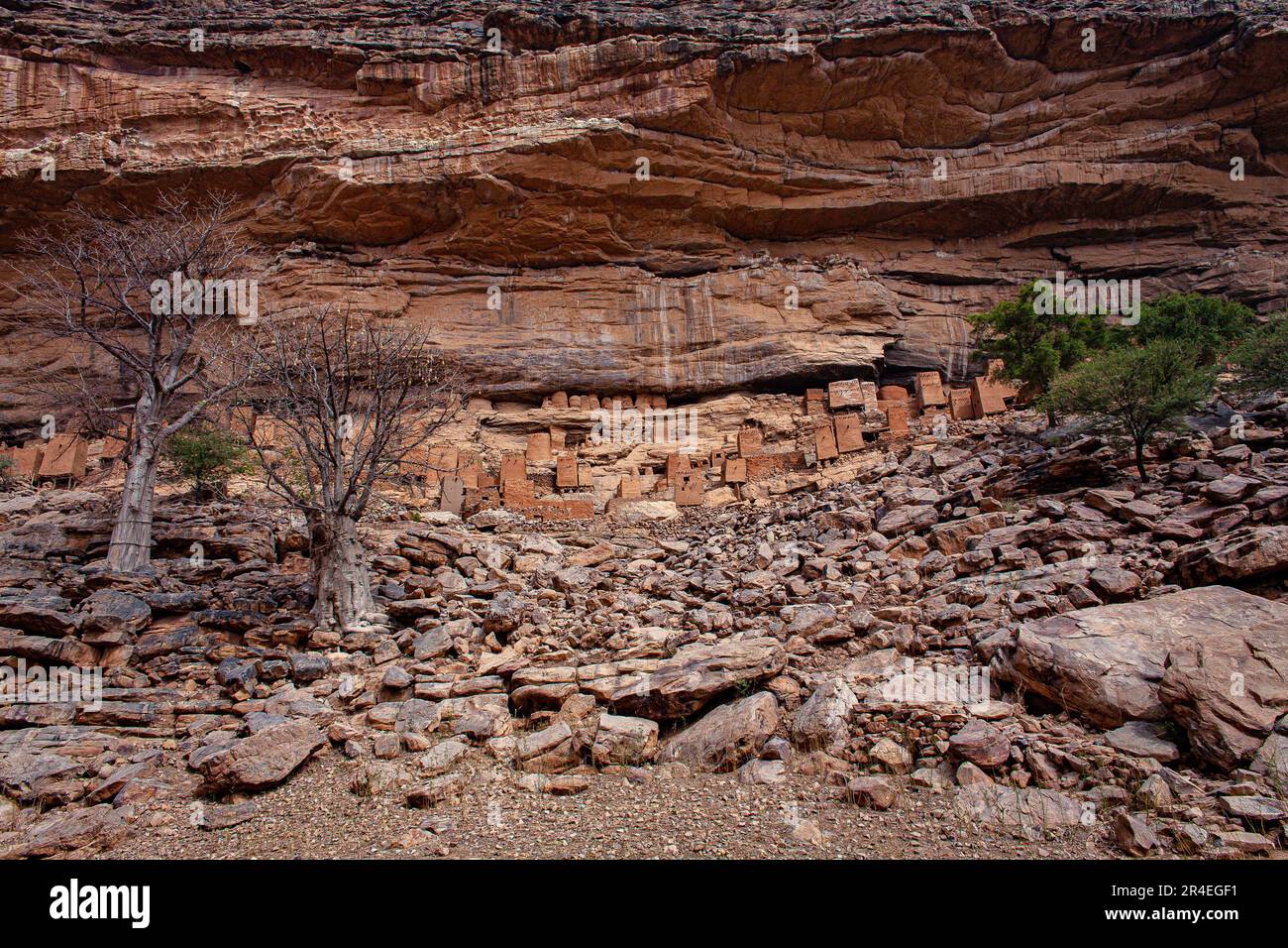 Dogon village and typical mud buildings, buildings used as barns for ...