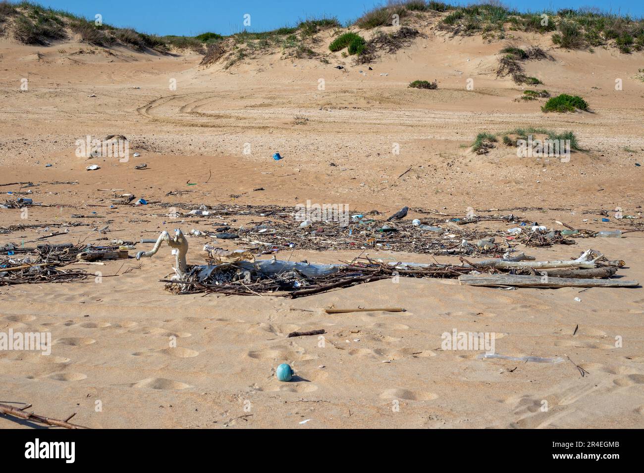 Sandy beach with debris carried by the wave. Ocean pollution Stock ...