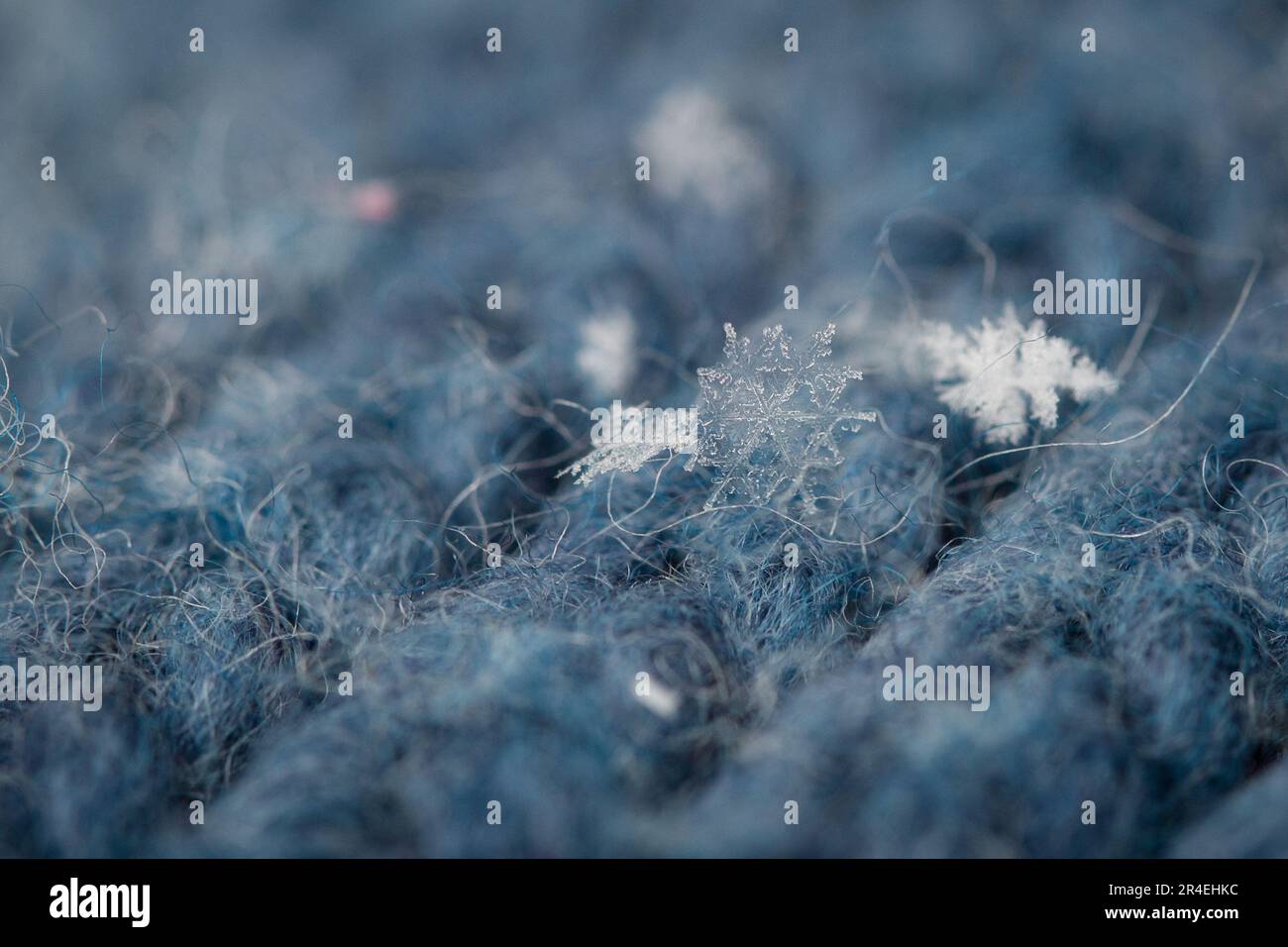 Magnified snowflake hi-res stock photography and images - Alamy