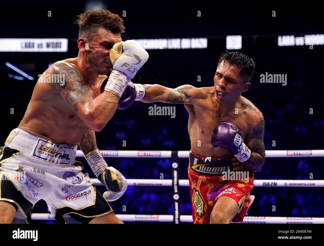 Leigh wood and lara fight hi-res stock photography and images - Alamy