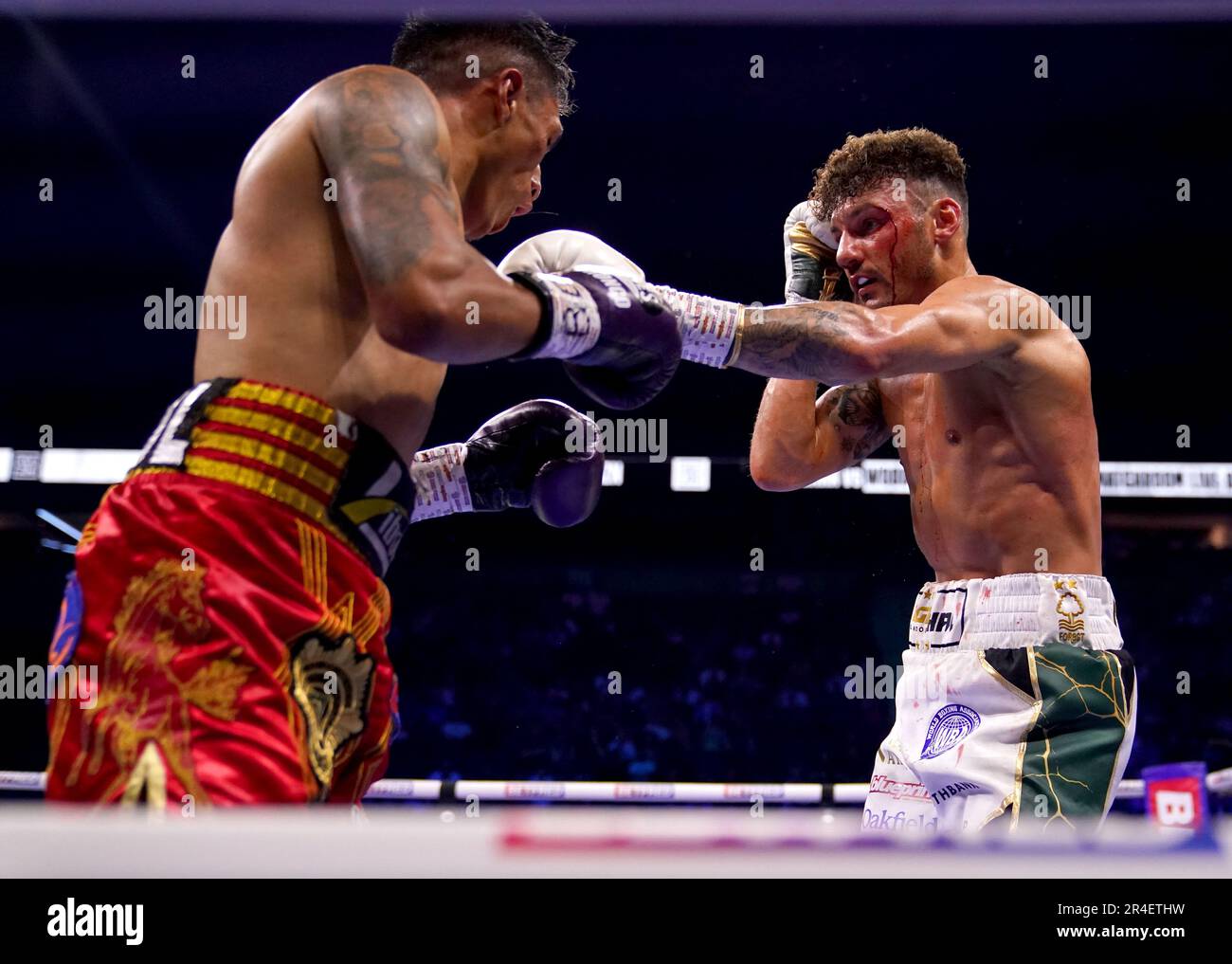 Leigh wood and lara fight hi-res stock photography and images - Alamy