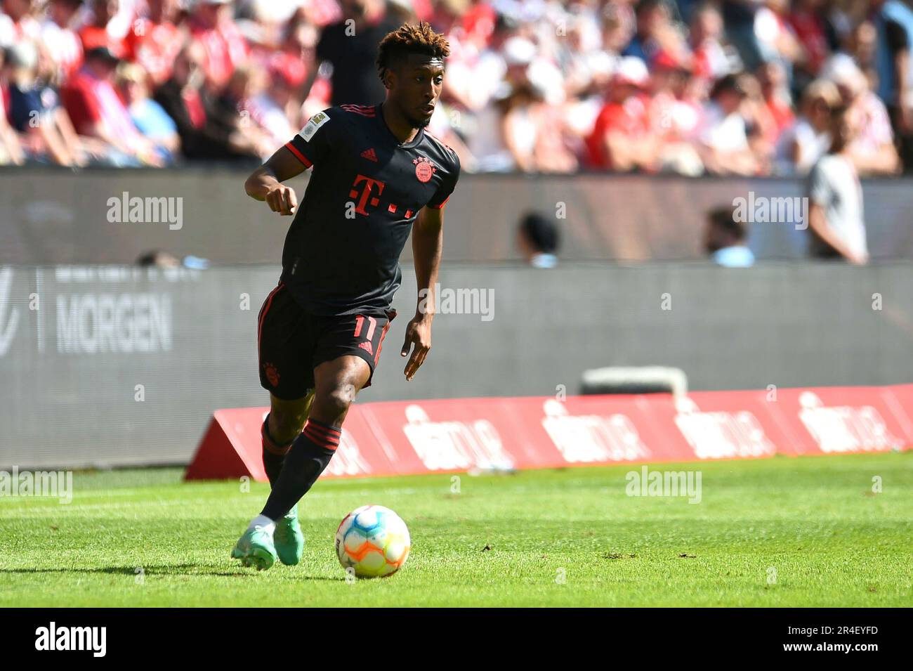 Cologne, Deutschland. 27th May, 2023. firo : 27.05.2023, football, 1 ...