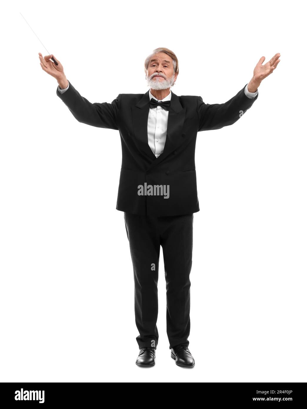 Professional conductor with baton on white background Stock Photo - Alamy