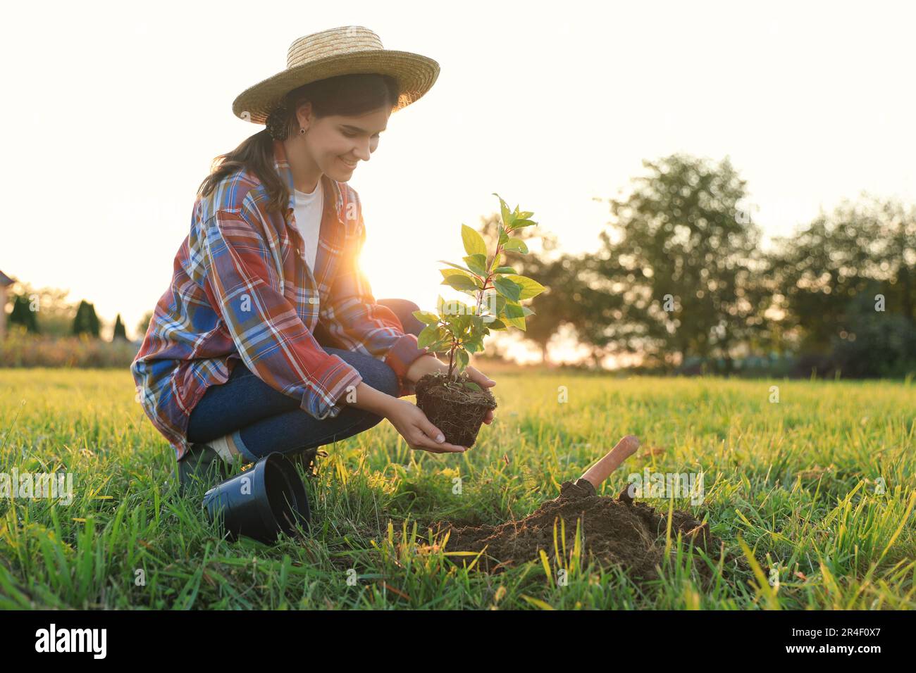 Young woman planting tree in countryside, space for text Stock Photo ...