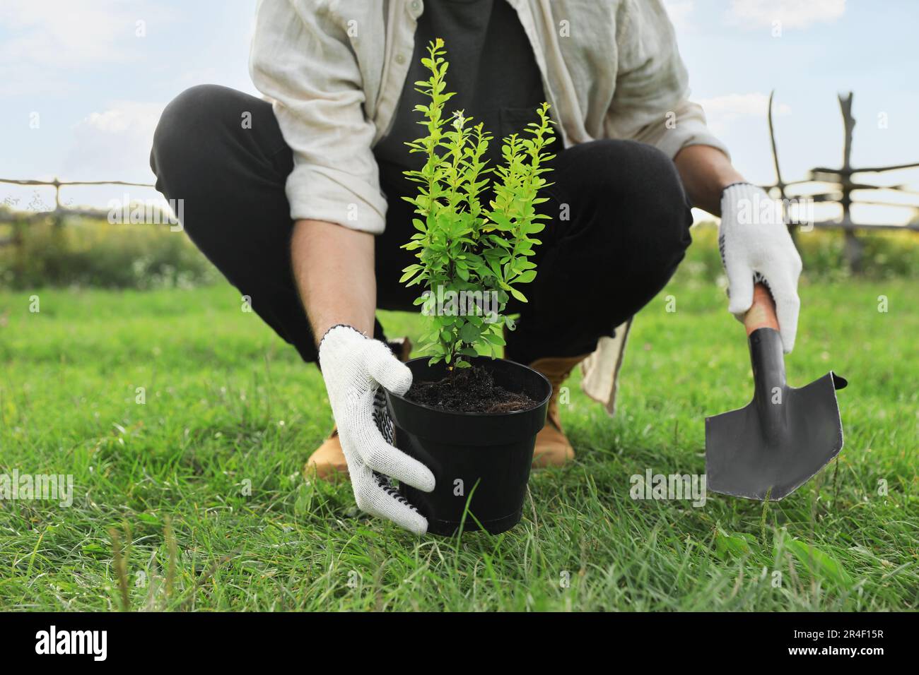 Man planting tree in countryside, closeup view Stock Photo - Alamy