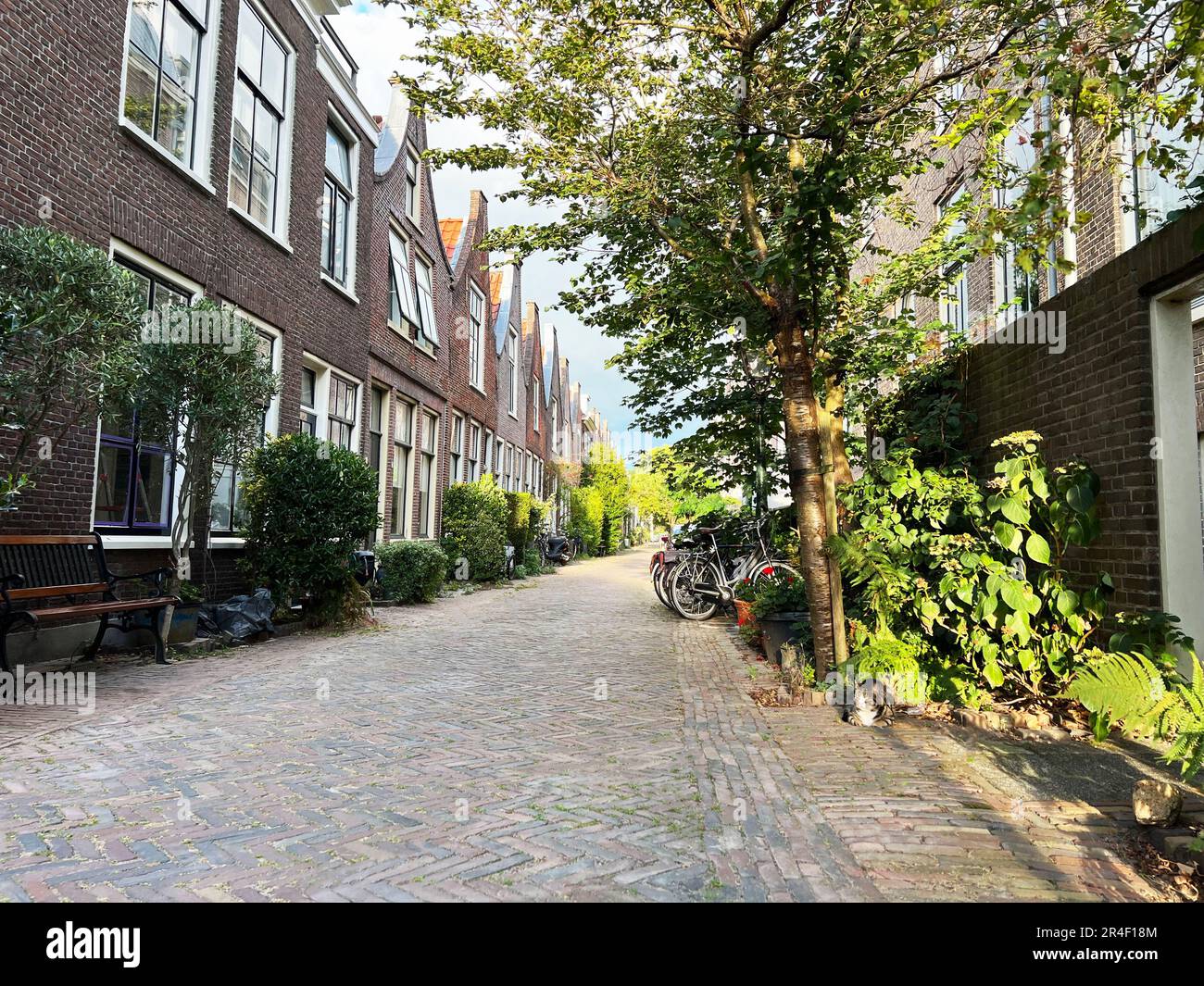 City street with beautiful buildings, bench and plants Stock Photo - Alamy