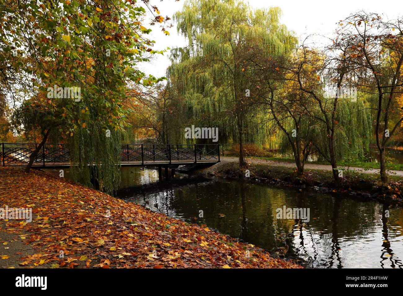 Beautiful park with yellowed trees and river Stock Photo - Alamy