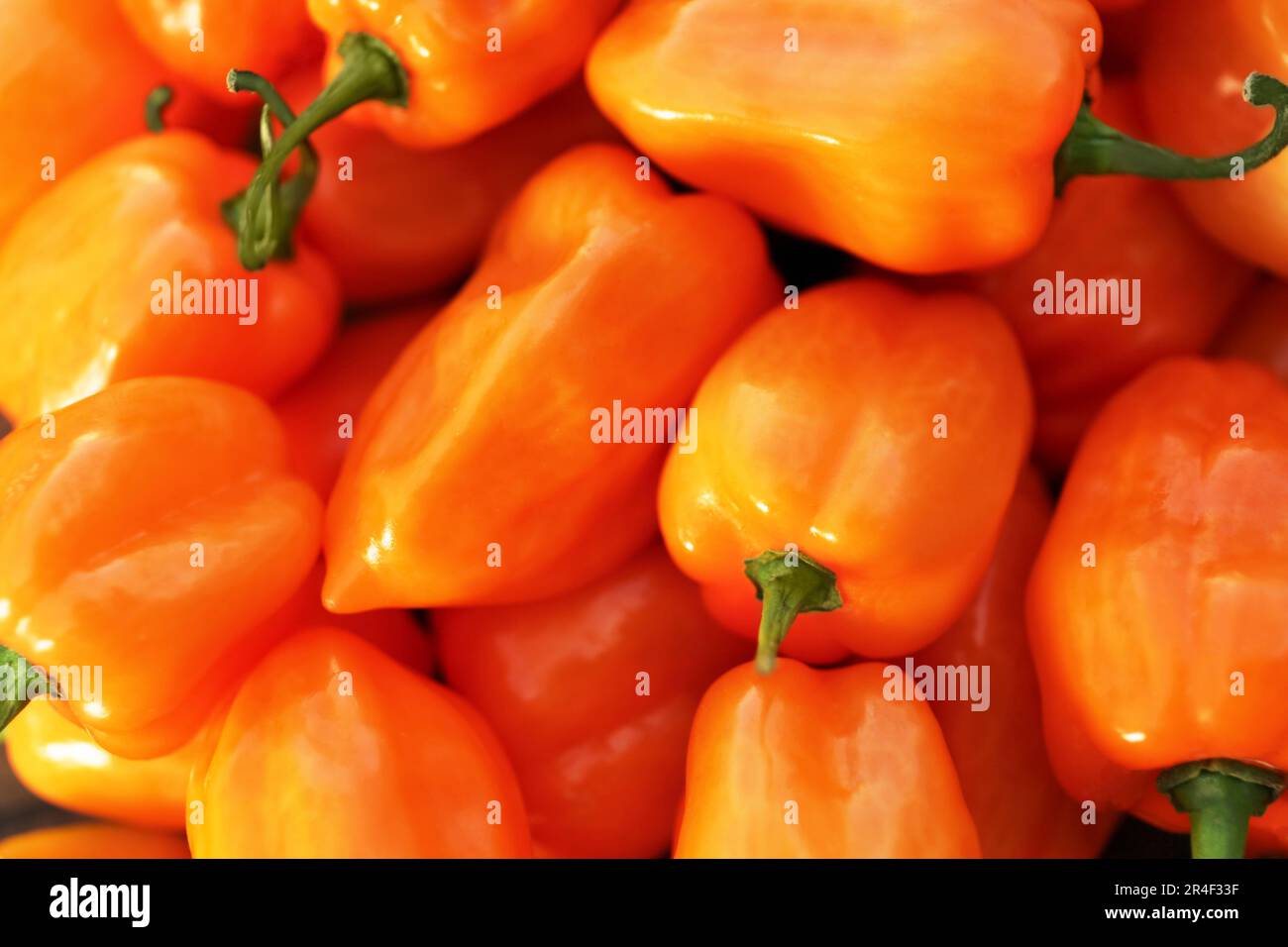 Orange hot chili peppers as background, closeup Stock Photo - Alamy