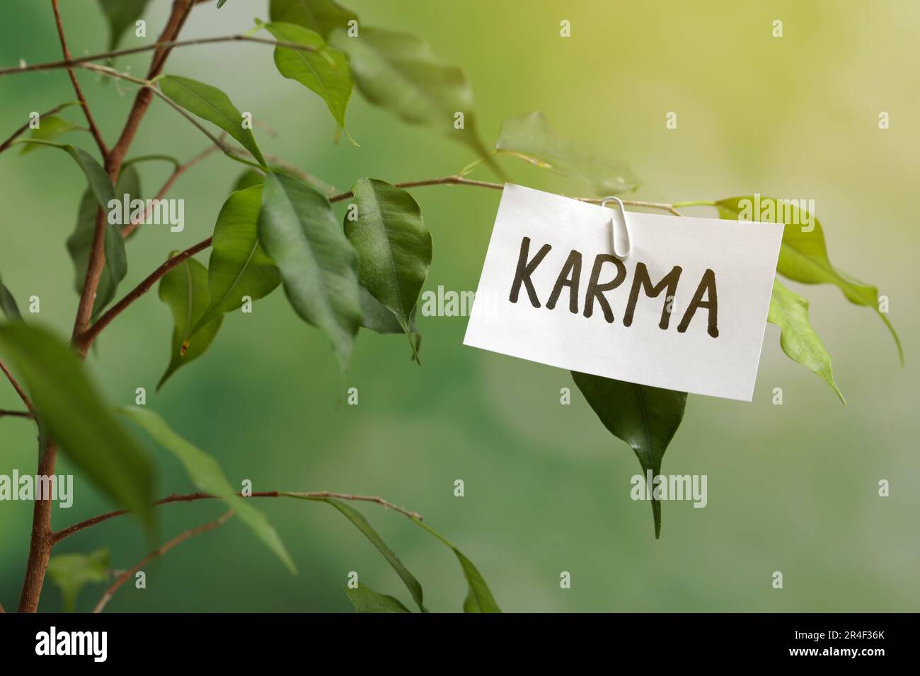 Sheet of paper with word Karma on branch against blurred background ...