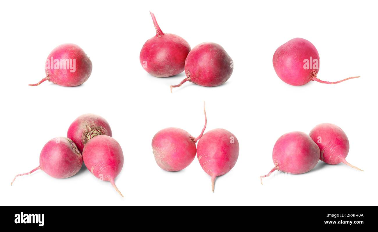 Collage with fresh ripe turnips on white background Stock Photo - Alamy