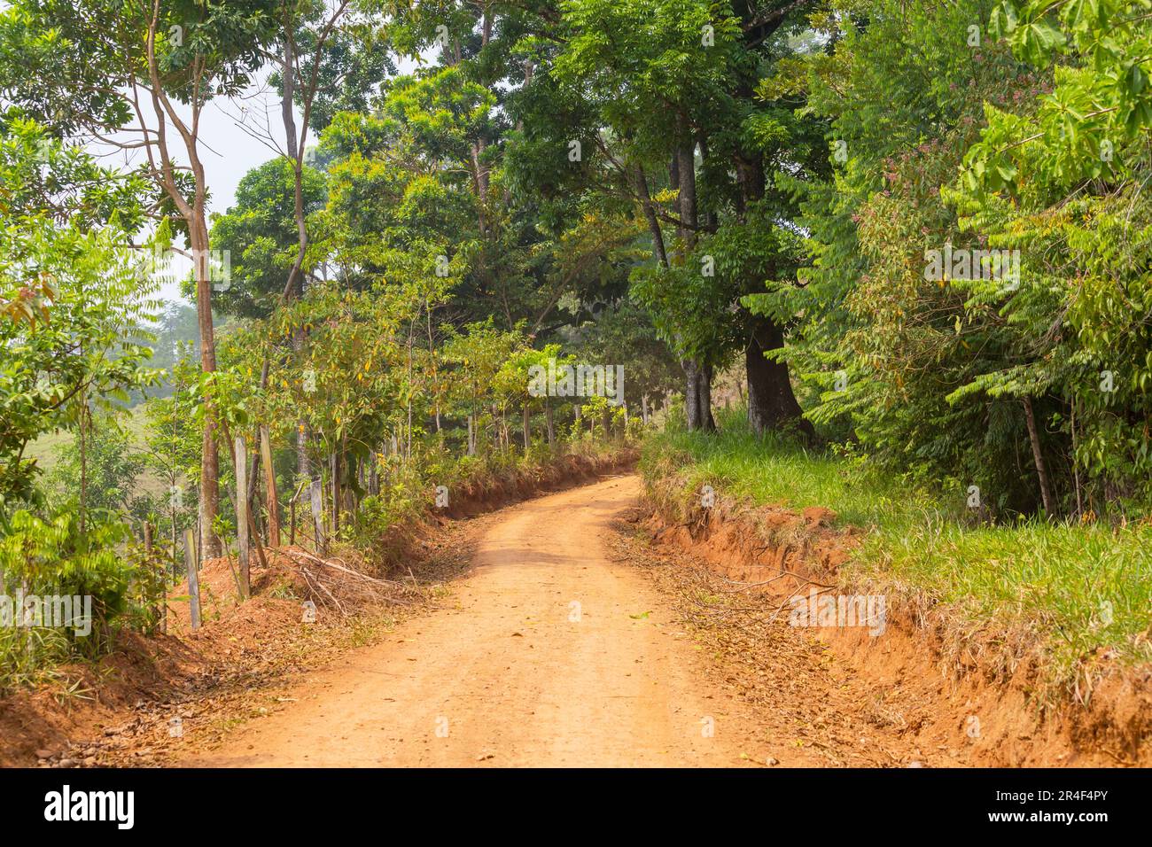 Honduras road agriculture hi-res stock photography and images - Alamy