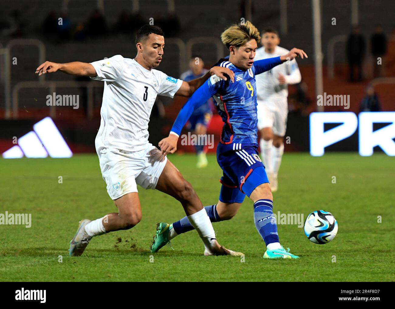 Israelov hi-res stock photography and images - Alamy