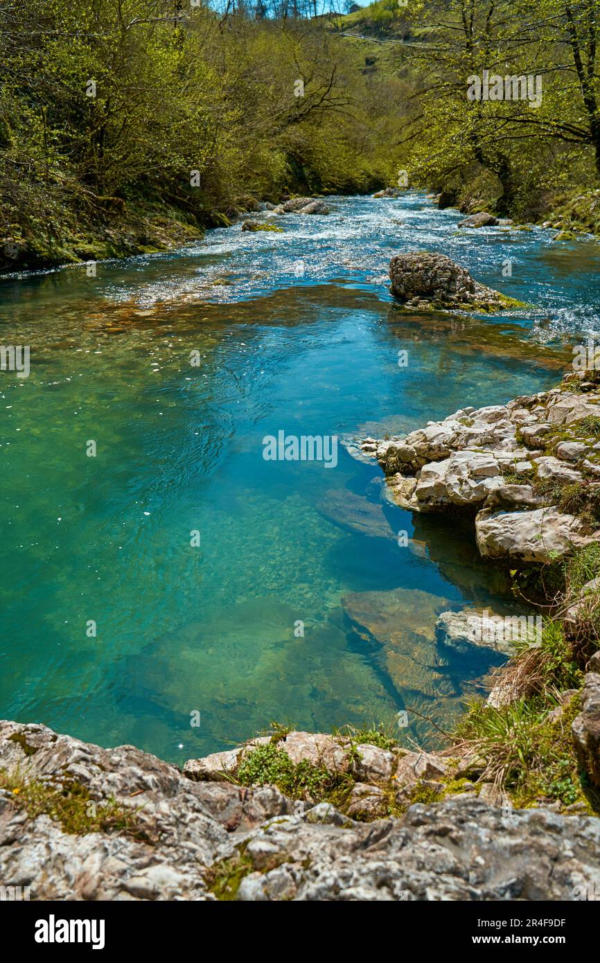 The natural pool of the mountain river with emerald clear water Stock ...