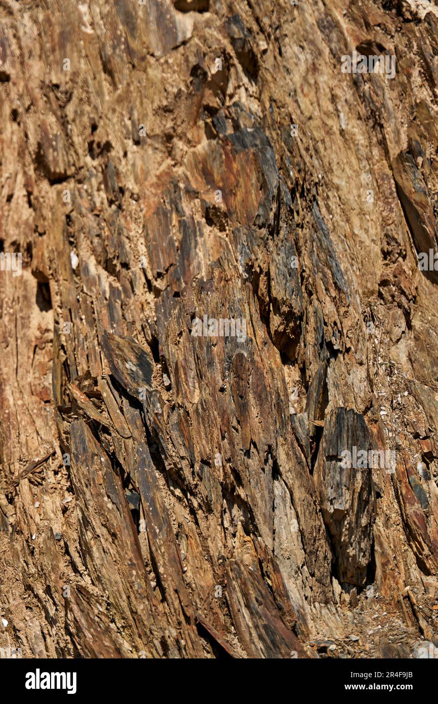 The texture of rocks in the sun. The stone structure of the rock Stock ...