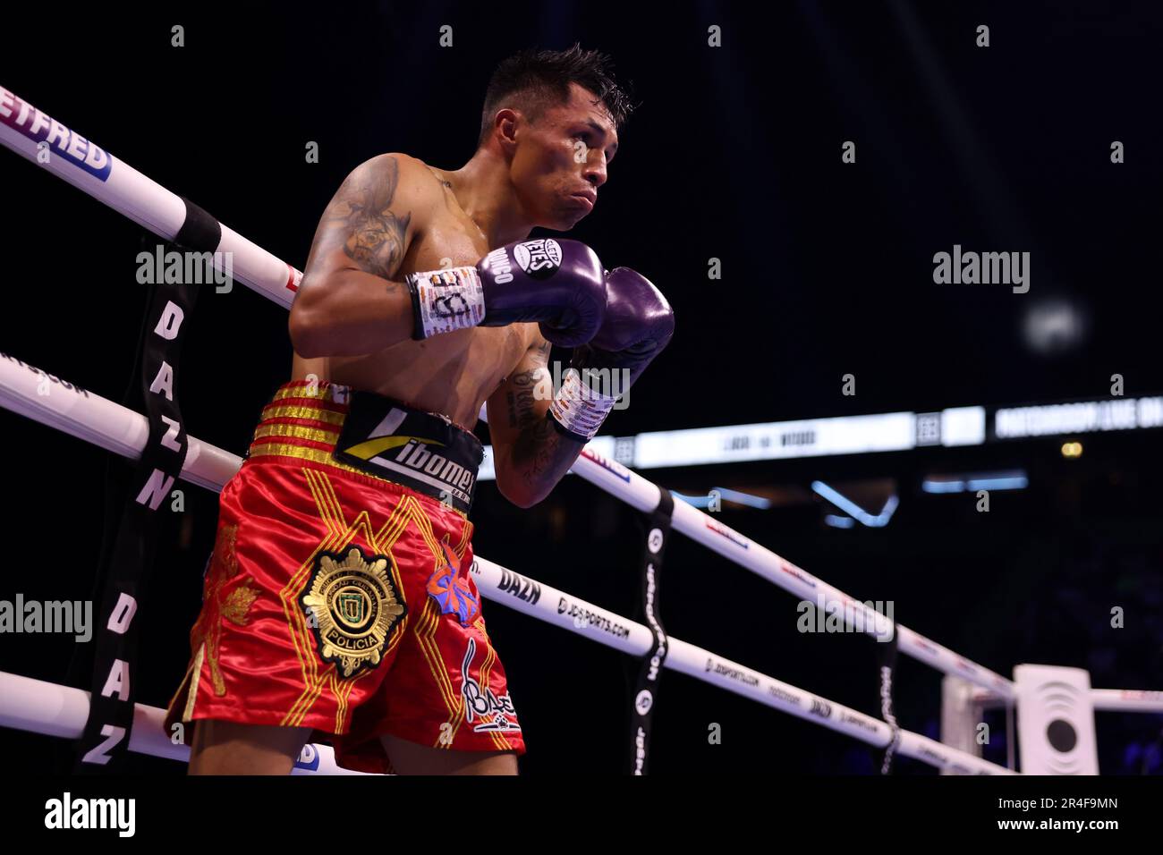 Leigh wood mauricio lara hi-res stock photography and images - Alamy