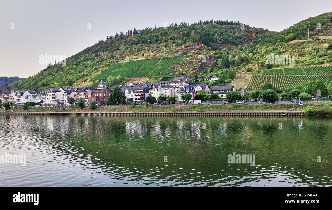 Typical small village along the Mosel River banks with steep vineyards ...