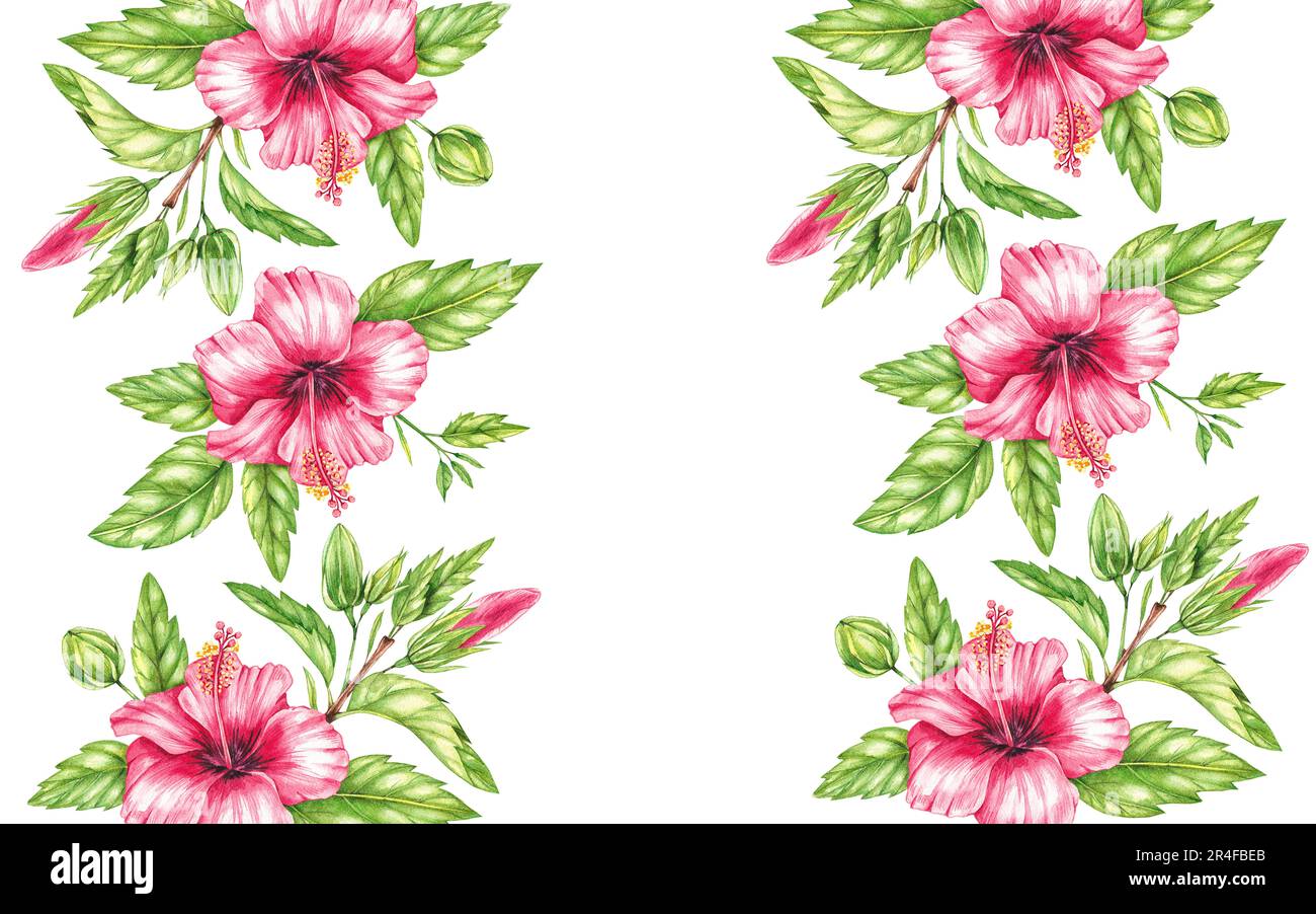 Watercolor background with red hibiscus flowers on a white background ...