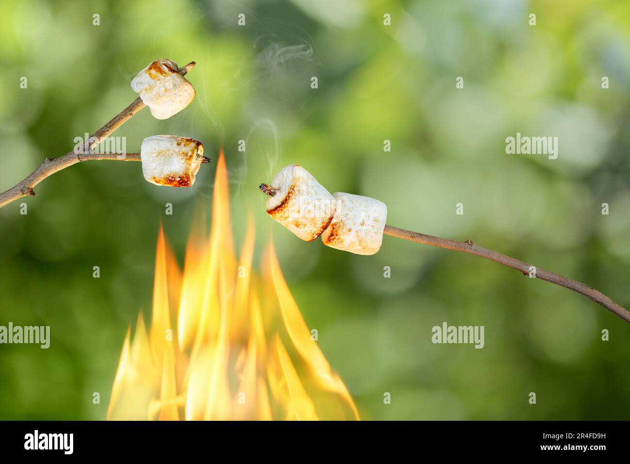 Toasting marshmallows fire hi-res stock photography and images - Alamy