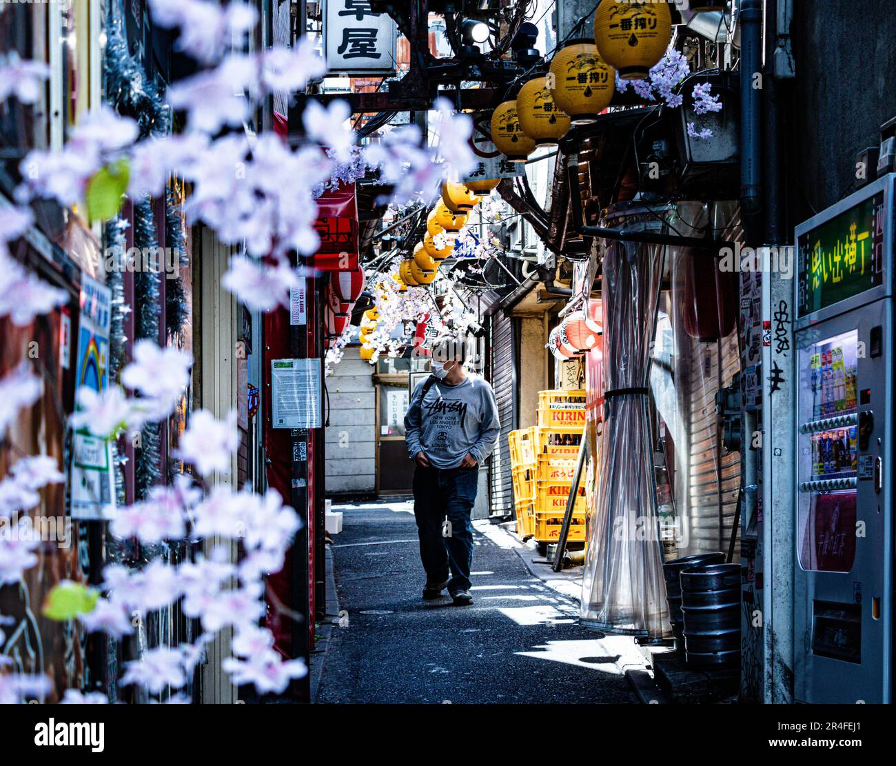omoide yokocho also known as piss alley in the spring time during the ...